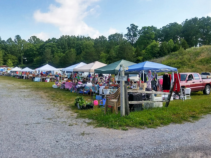 Country charm on display! Log Cabin Flea Market's outdoor setup creates the perfect backdrop for discovering rustic treasures.