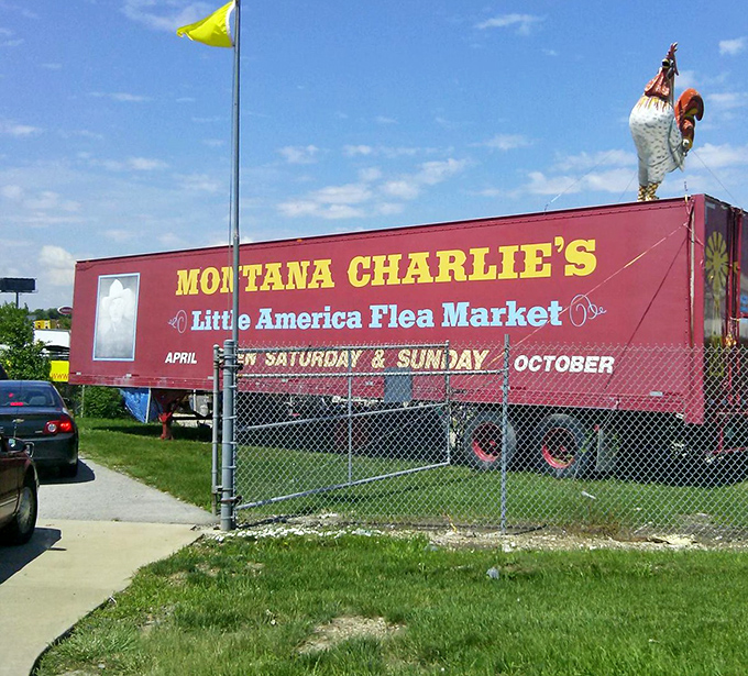 That giant rooster isn't just crowing about dawn&mdash;he's announcing treasure hunting season at Montana Charlie's!