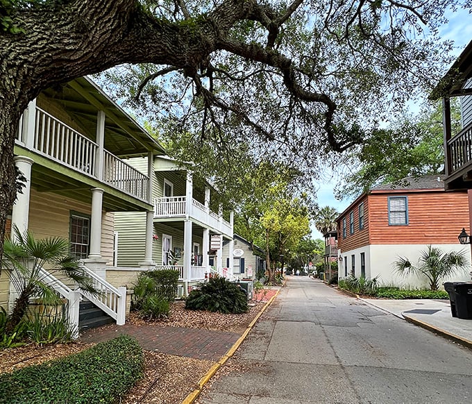 St. Augustine from above reveals its perfect blend of history, beauty, and waterfront charm. Those red roofs have stories to tell!