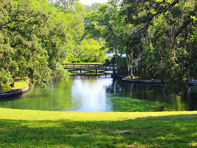 Wekiwa Springs' circular swimming hole offers a natural alternative to Orlando's chlorinated attractions&mdash;and it's just as magical.