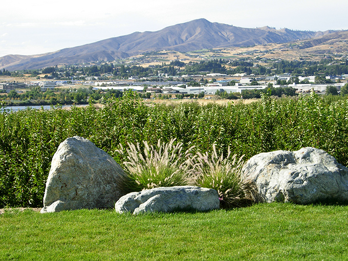 Wenatchee's tree-lined streets offer shade and charm in equal measure, with mountain views that elsewhere would command premium prices.