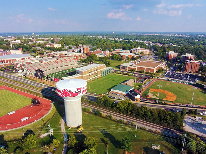 This vibrant aerial view captures the perfect blend of green spaces, historic charm, and modern development. 
