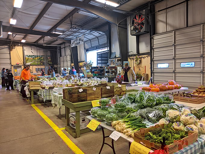 A cornucopia of vegetables spreads across tables like nature's paint palette. Eat your colors has never been more appealing!