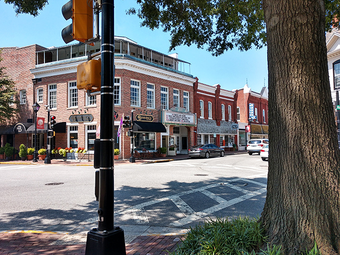 Denton's town center has that perfect small-town vibe where rushing feels almost impolite. The pace here is deliciously unhurried.