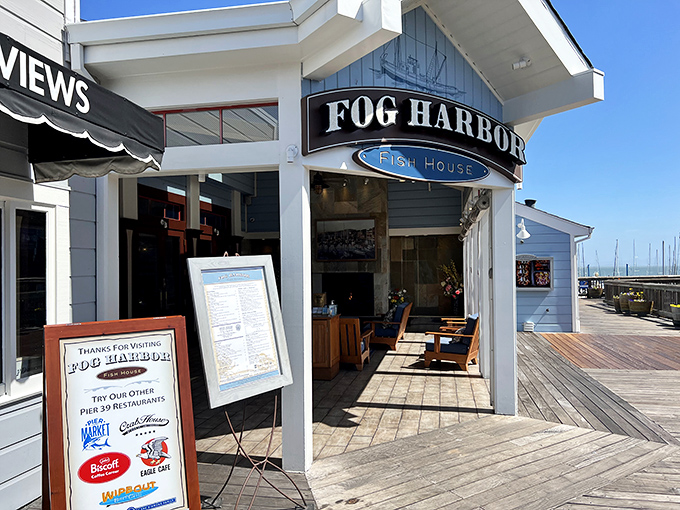 Classic coastal dining means simple pleasures: fresh fish, crispy batter, and perfect bay views.