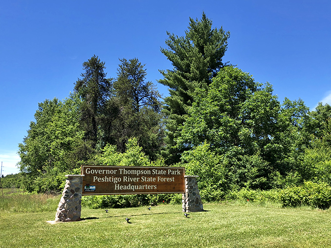 Towering pines stand guard at Governor Thompson State Park, nature's own version of an honor guard welcoming visitors.