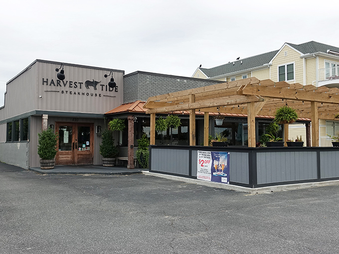 The evening light makes Harvest Tide's sign glow like a beacon for hungry beachgoers. Surf, turf, and everything worth savoring.