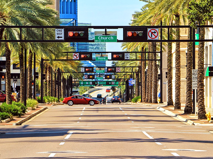 These palm-lined downtown streets show Jacksonville's commitment to making urban living both beautiful and livable.