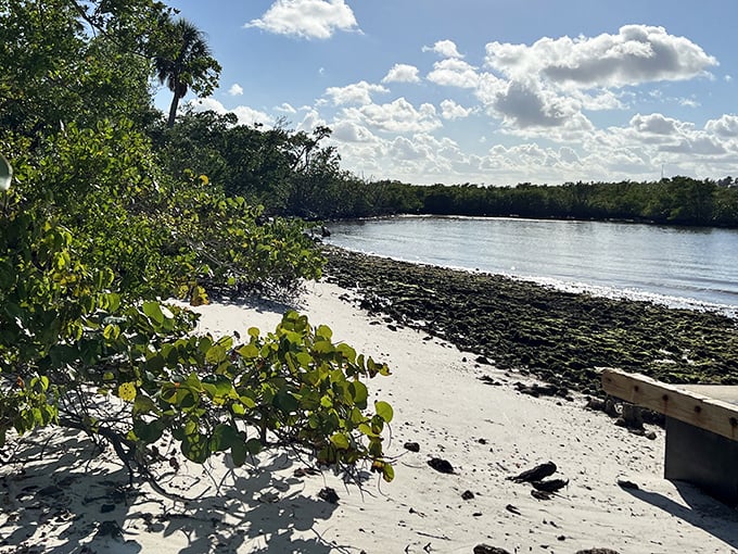 MacArthur Beach State Park offers that perfect Florida combo: blue water, green mangroves, and endless possibilities.