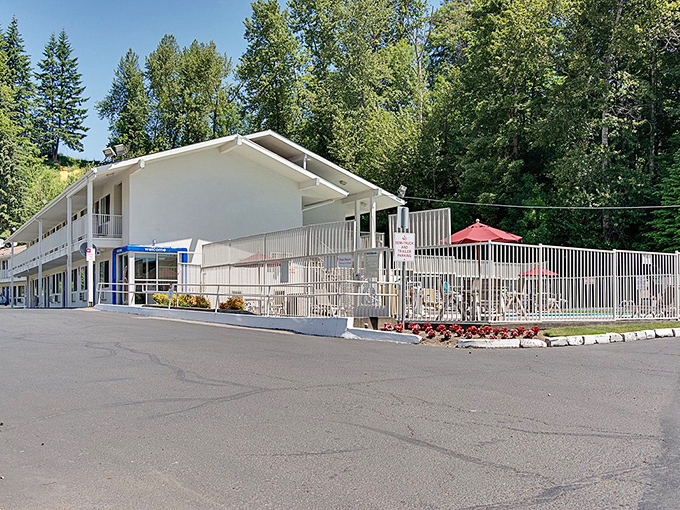 A simple white motel in Kelso might not win architectural awards, but it offers something better: a clean bed after a day of exploring.