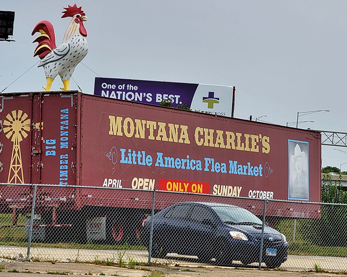 Montana Charlie's colorful roadside presence captures the spirit of Route 66 adventure and Americana.