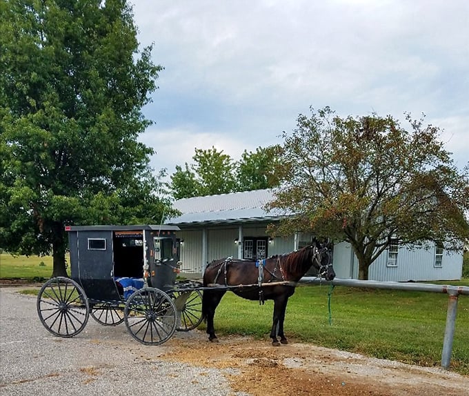 A horse and buggy parked outside a simple building &ndash; the original "park anywhere" vehicle that never needs a charging station.