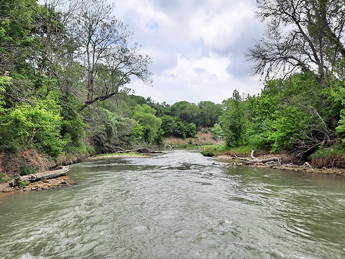 River runs through it! Palmetto State Park's flowing waters carve a refreshing path through this unexpected tropical oasis in Central Texas.