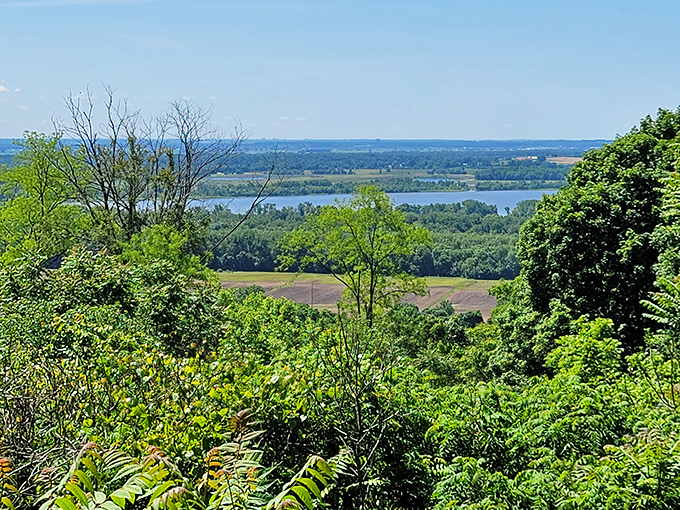 Jaw-dropping vistas! Pere Marquette's elevated lookouts reveal the mighty Illinois River winding through a patchwork of forests and fields.