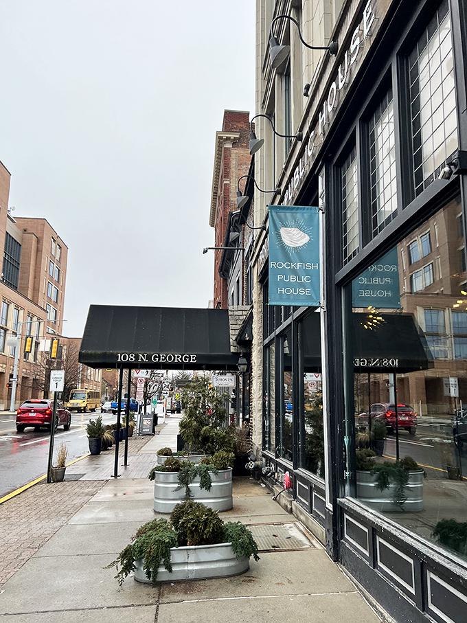 Urban sophistication meets seafood simplicity at Rockfish, where historic architecture frames culinary adventures.