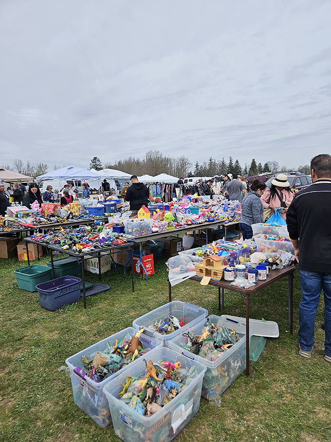 Treasure hunting under open skies. Colorful toys and collectibles create a playground for adults who never lost their childlike joy of discovery.