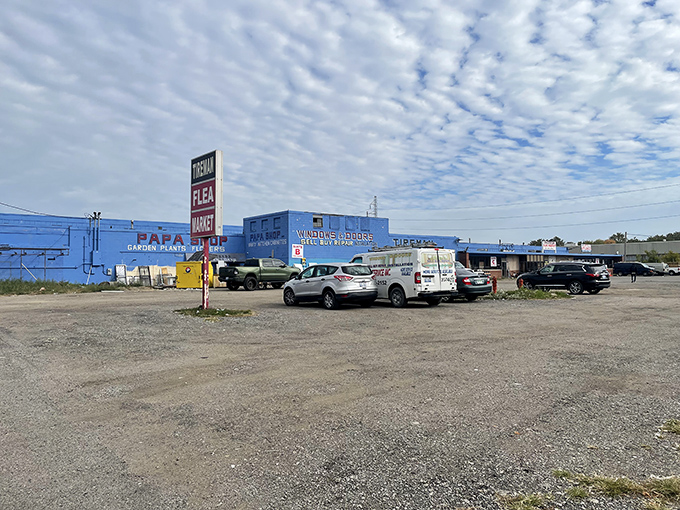 Tireman Flea Market: Where Motor City meets bargain city. This blue beacon of deals stands proud against the urban landscape.