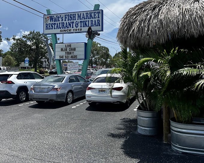 The market-to-table journey is measured in feet, not miles, at this Sarasota seafood landmark.
