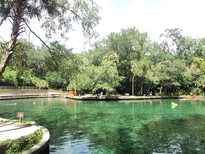 A peaceful oasis near theme park chaos, Wekiwa Springs proves that Florida's most impressive blue rides don't require admission tickets.