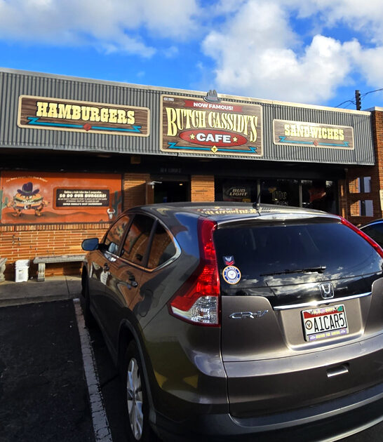 alabama delicious cheeseburger diner ftr