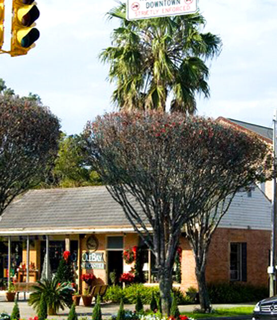 alabama postcard perfect town ftr