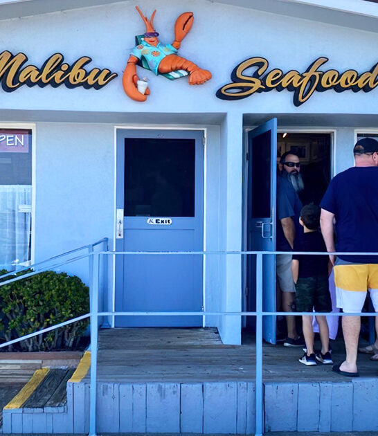 amazing fish chips california ftr