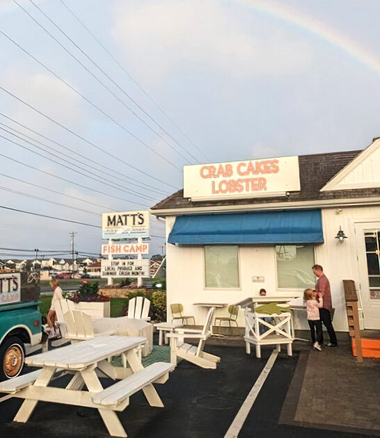 amazing fish chips delaware ftr