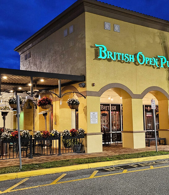 amazing fish chips florida ftr