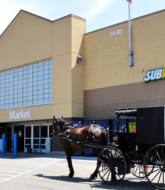 millersburg pays amish, oh
