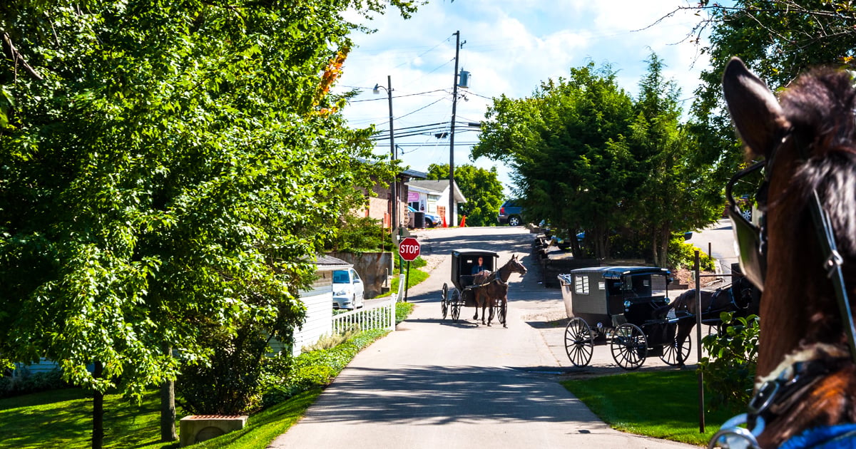 The Tiny Amish Town In Ohio Where You’ll Find The State’s Best Homemade ...