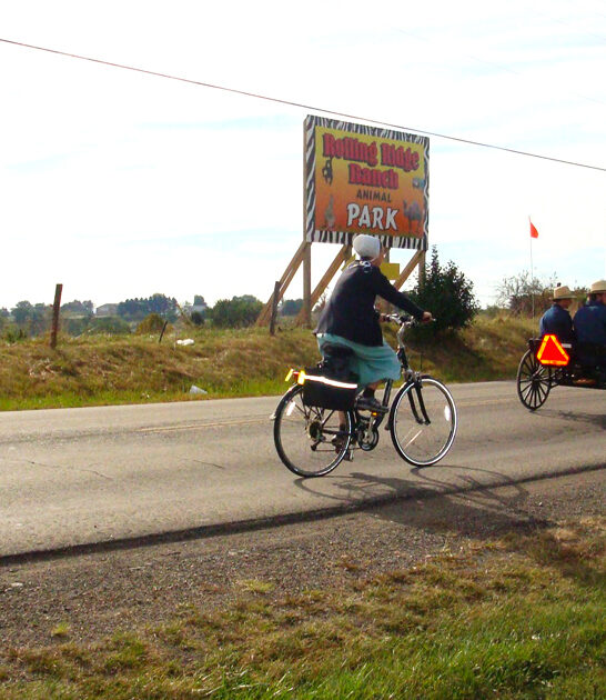 amish town food ohio ftr
