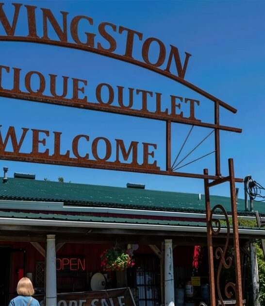 antique michigan dream bargain ftr