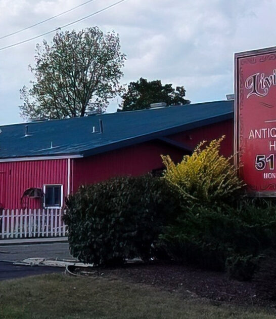 antique store michigan bargains ftr