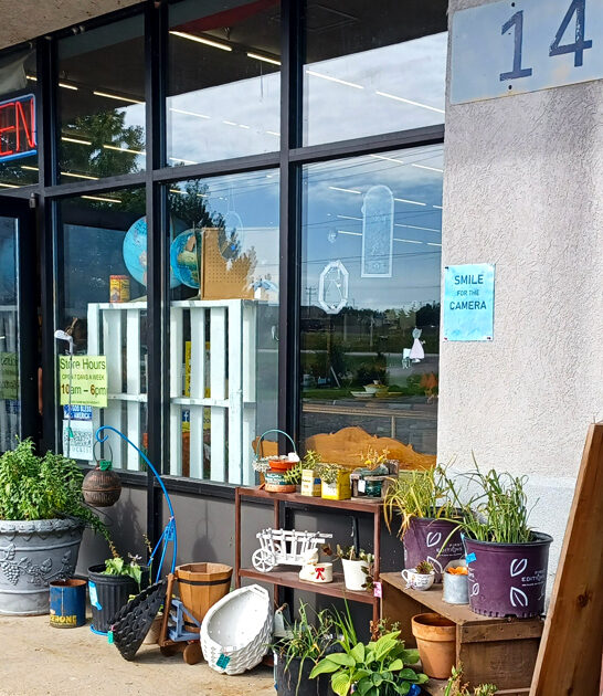 antique store wisconsin underrated ftr