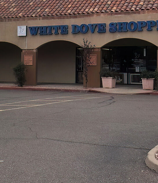 arizona bargain thrift store ftr