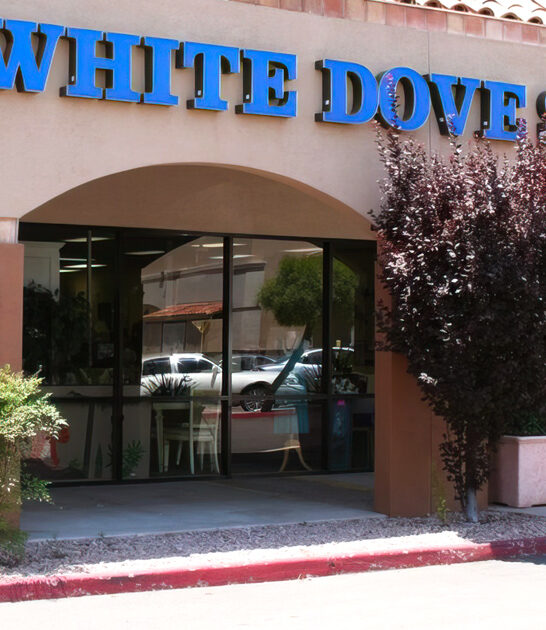 arizona budget friendly store ftr