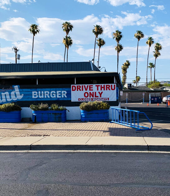 arizona delicious cheeseburger diner ftr