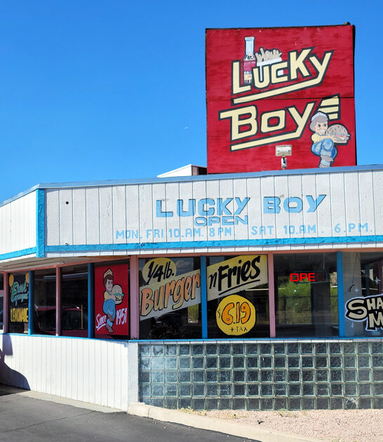 arizona fries burger joint ftr