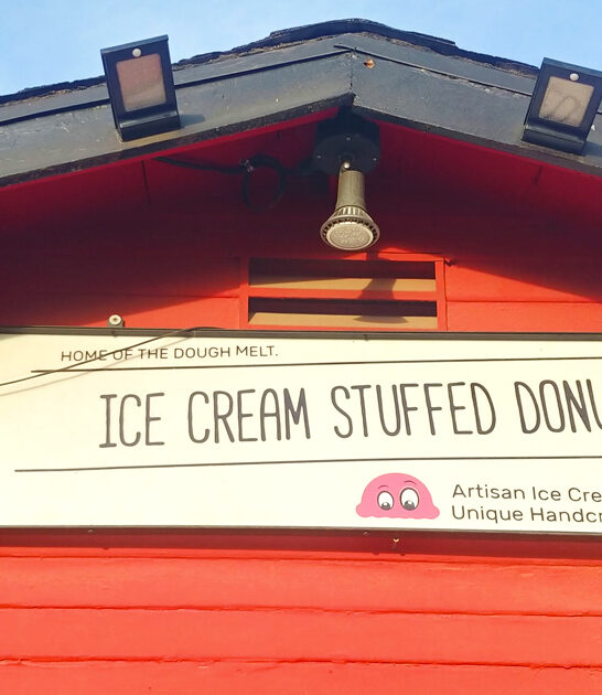 arizona gelato shop trip ftr