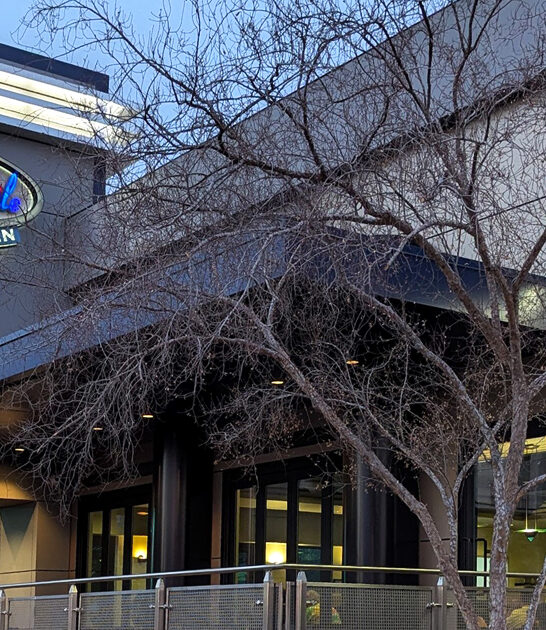 arizona iconic tiny restaurant ftr