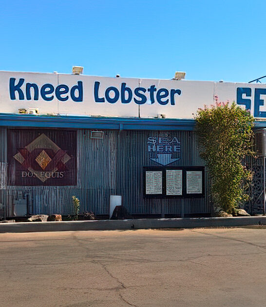 arizona outrageously good fish ftr