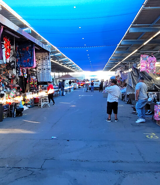 arizona rare treasures markets ftr