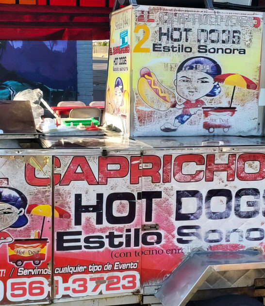 arizona restaurant sonoran dog ftr