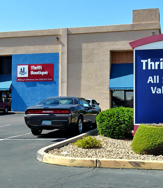 arizona unique bargain hunt ftr