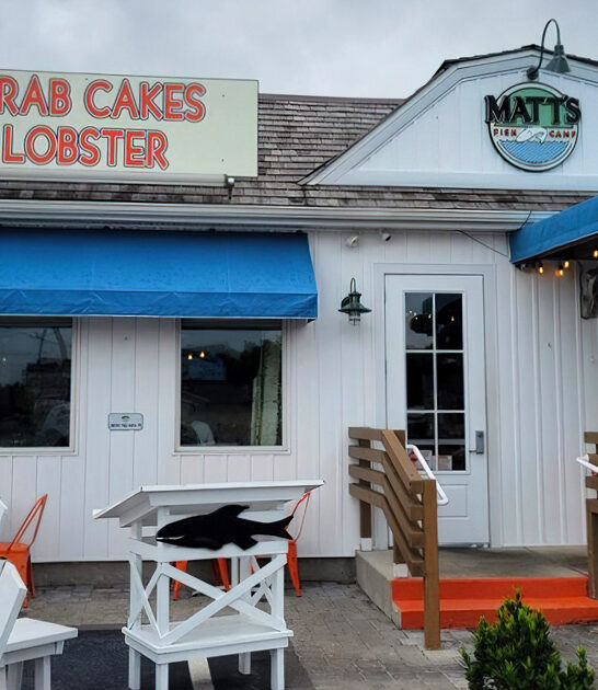 awesome fish chips delaware ftr