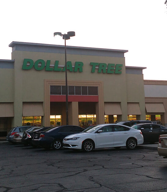 bargain dollar store mississippi ftr