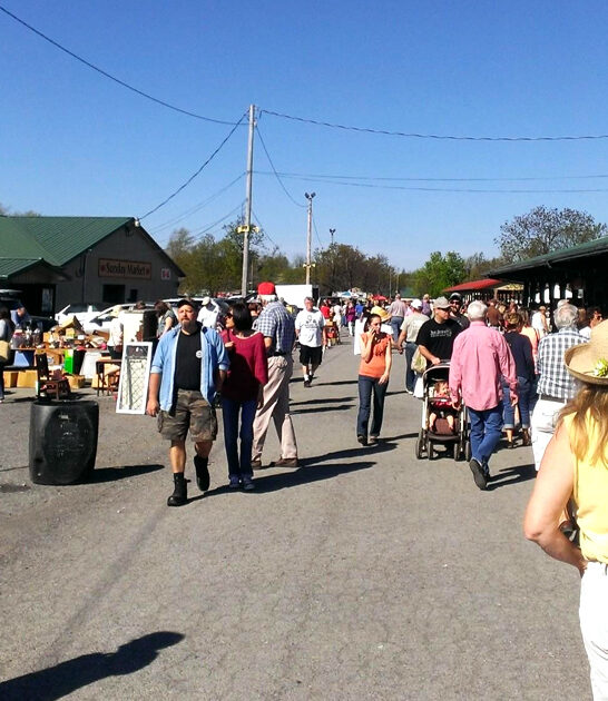 bargain hunting new york ftr