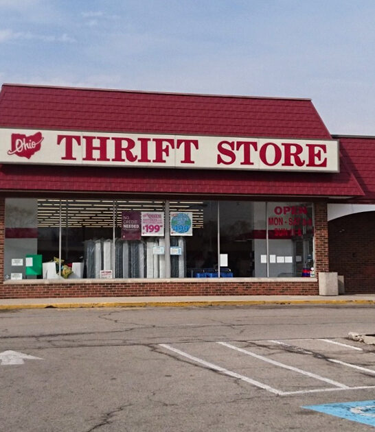bargain hunting ohio thrift ftr