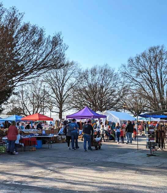 bargain market north carolina ftr