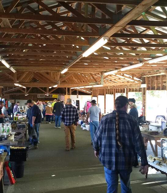 bargain markets north carolina ftr